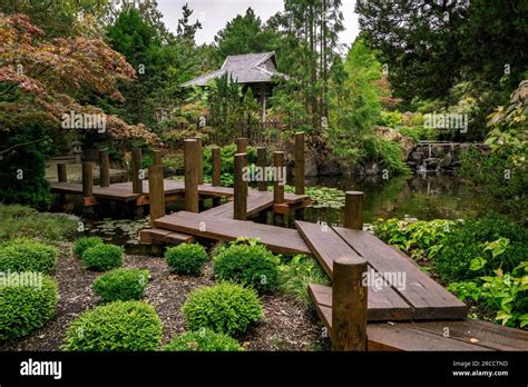 Japanese Garden Inside Of The Royal Tasmanian Botanical Gardens In