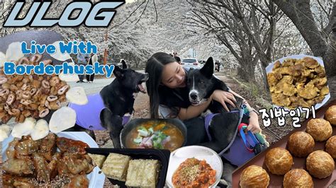 Vlog 직장인 집밥일기 직장인브이로그파이약과소고기순찌볶음만두참치쌈장막창구이밤파이치킨튀겨먹기벚꽃엔딩김피탕피탕김탕반려견리보 Youtube