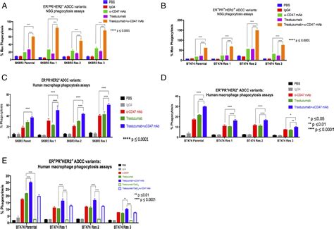 Combining Cd47 Blockade With Trastuzumab Eliminates Her2 Positive