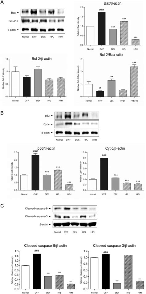 Expression Of Bax And Bcl 2 A And P53 And Cyt C B And Caspase 9