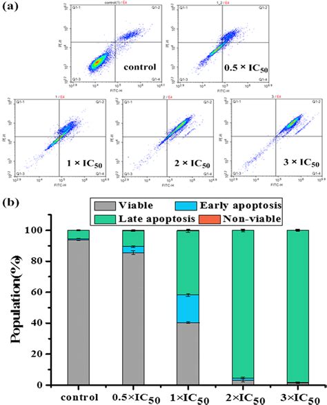 Apoptosis Analysis Of A549 Cells After 24 Hr Of Exposure To Complex Ir4