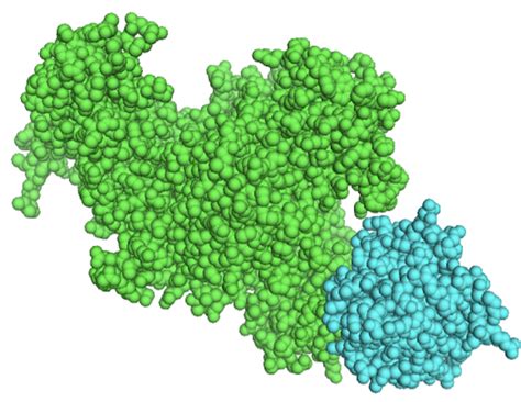 Shining A Light On The Relationship Between Protein Sequence Structure And Function EVO