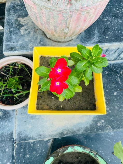 Saif Ali Posted On Linkedin