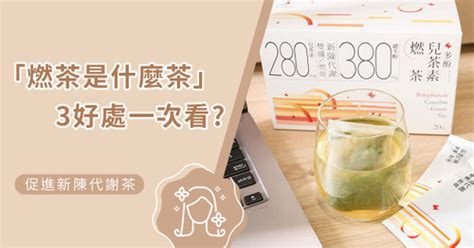 燃茶是什麼茶？多酚是什麼？3大多酚燃茶好處一次看 光茵樂活｜機能銀耳飲