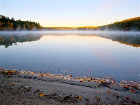 Walden Pond The Walden Woods Project