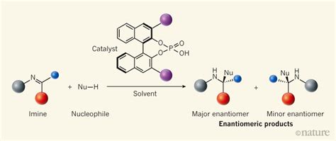Holistic Models Of Reaction Selectivity