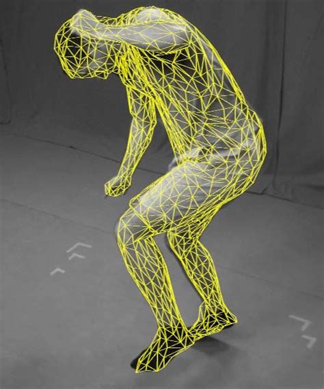 Motion Capture Using Joint Skeleton Tracking And Surface Estimation