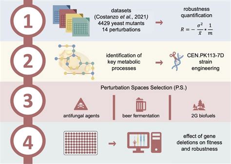 Cecilia Trivellin On Linkedin Robustness Quantification Of A Mutant