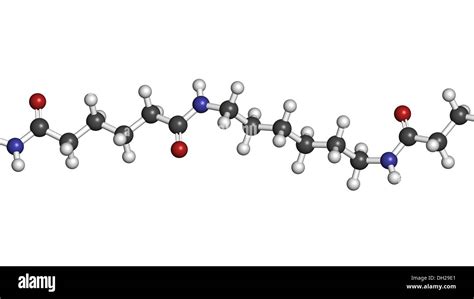 Nylon Nylon 6 6 Plastic Polymer Chemical Structure Linear Stock