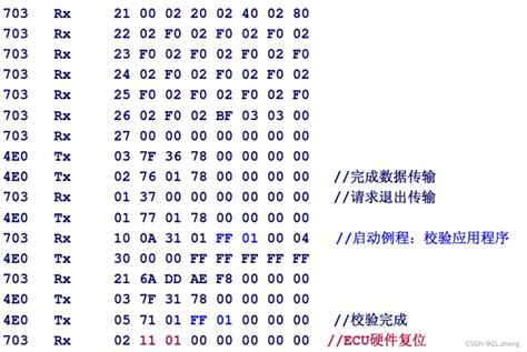 Uds协议从入门到入坑分享 Csdn博客