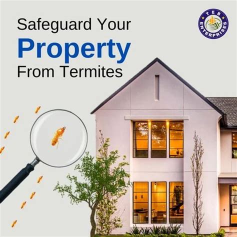 Termite Injection Pest Control At ₹ 1 Sq Ft In Bengaluru Id