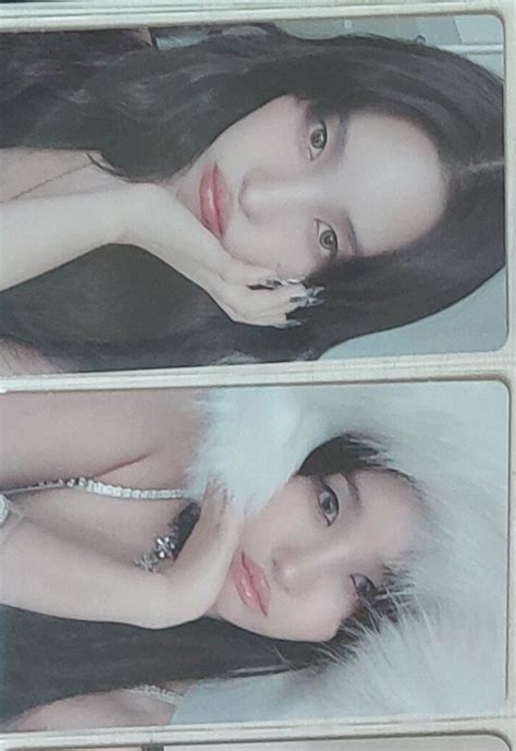 포카시세 알려주세요 지식in