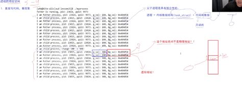 【linux】进程的地址空间 父子进程虚拟地址空间是否一样 Csdn博客
