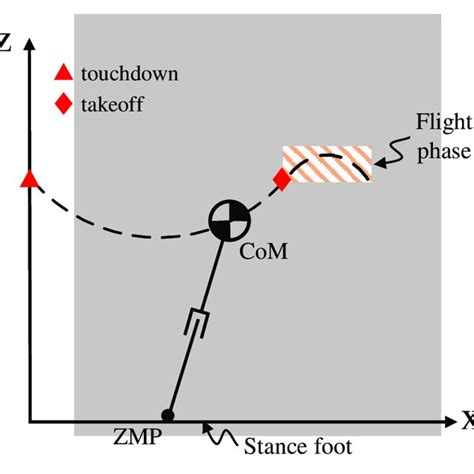 Segmented Zmp Trajectory Optimization During State Switching 1 Gray Download Scientific
