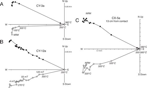 In Situ Orthogonal Vector Diagrams Showing Demagnetization Behavior Of