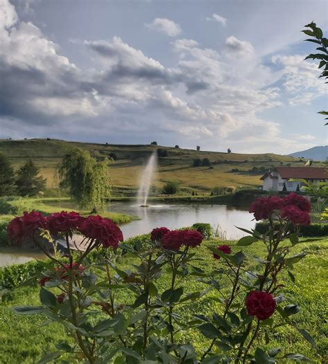 Пачовите Пачовите Колиби Къща за гости с басейн и Spa