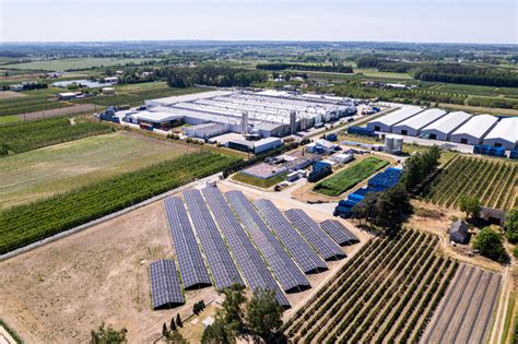 Gigant inwestuje w farmy fotowoltaiczne w Polsce Celem niezależność