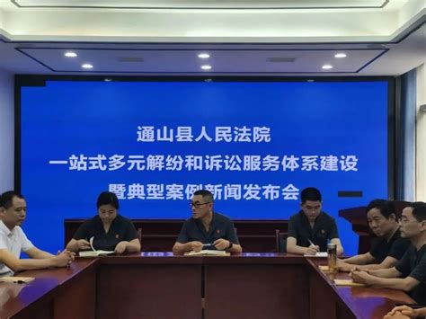 通山县人民法院举行一站式多元解纷和诉讼服务体系建设暨典型案例新闻发布会澎湃号·政务澎湃新闻 The Paper