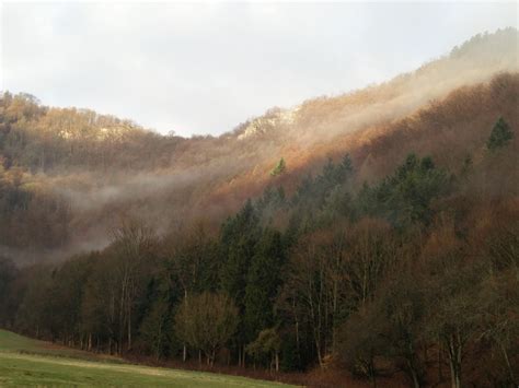 무료 이미지 경치 나무 숲 황야 구름 안개 아침 잎 언덕 새벽 분위기 골짜기 산맥 가을 날씨 시즌 고원 십일월 서식지 기분 단풍