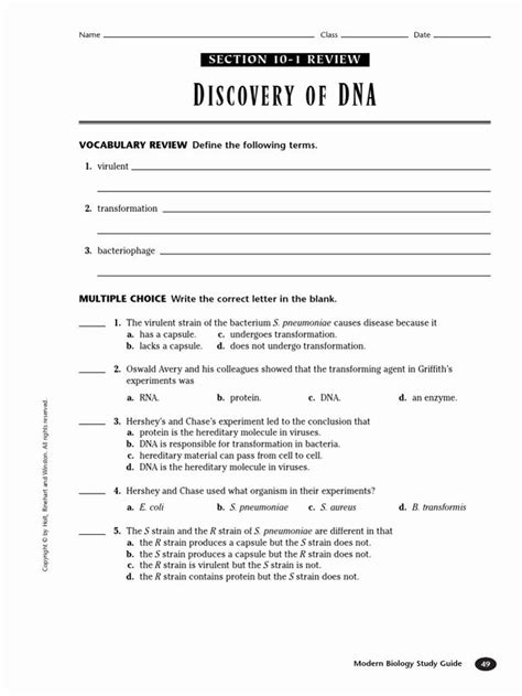 50 Dna And Rna Worksheet Answers Chessmuseum Template Library