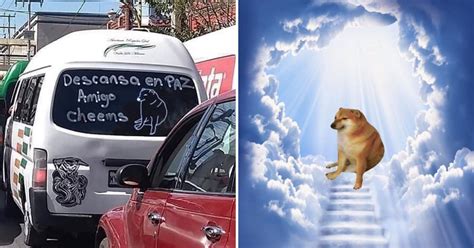 ¡méxico Mágico Chofer De Combi Rinde Homenaje A Perrito Viral “adiós