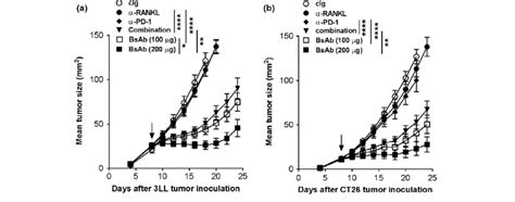 Co Targeting Of Rankl And Pd 1 With Anti Rankl Pd 1 Bsab Suppresses