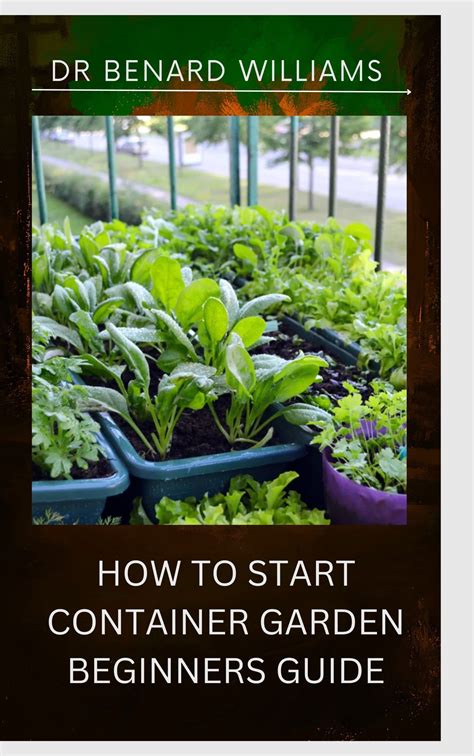 HOW TO START CONTAINER GARDEN BEGINNERS GUIDE Guide To Growing Your