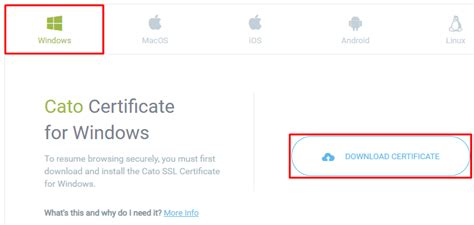 Installing The Root Certificate For Tls Inspection Cato Learning Center