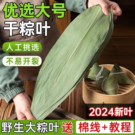 粽子叶粽叶新鲜箬叶干粽叶端午节包粽子大叶子宽材料大号包粽子Zongzi Leaf Zongye Fresh Ruo Leaf Dry