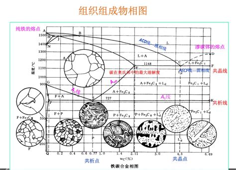 铁碳合金相图