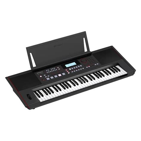 Roland E X50 61 Key Portable Arranger Keyboard Tmw