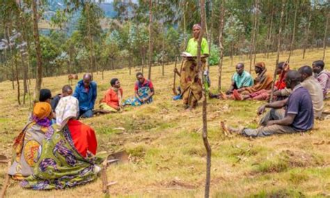 Ripple Effect Us Team