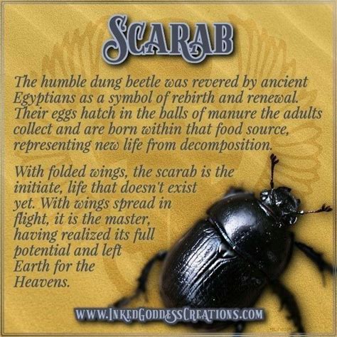 Ancient Egyptian Scarab Beetle Meaning The Scarab Is A Sacred Symbol