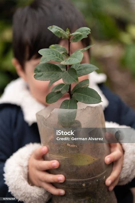 알아볼 수 없는 소년은 플라스틱 병으로 만든 화분에 식물을 들고 Esg 환경 지구의 날 지속 가능성 세계 환경의 날을 개념으로 합니다 가정에서의 재활용과 지속 가능성의 개념