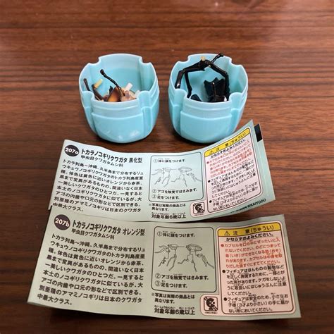 海洋堂 トカラノコギリクワガタ（黒化型）と（赤化型）の2個セット メルカリ