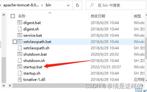 Tomcat The Catalina Home Environment Variable Is Not Defined Correctly This Environment