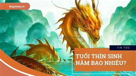 Tuổi Thìn Sinh Năm Bao Nhiêu Tử Vi Trọn Đời Tuổi Thìn