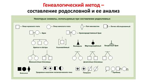 Методы изучения наследственности человека 9 класс презентация онлайн