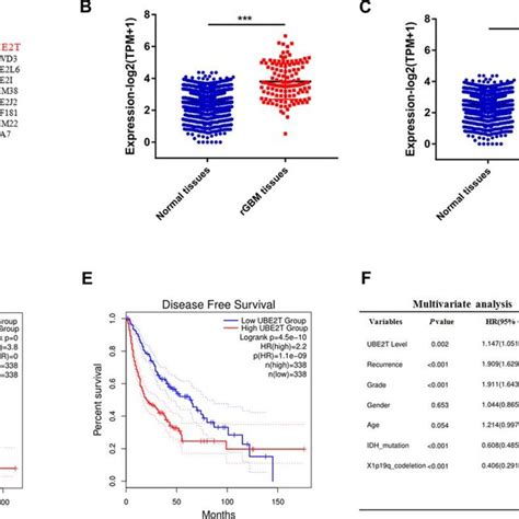 Ubiquitin Conjugating Enzyme E2t Ube2t Is An Independent Risk Factor