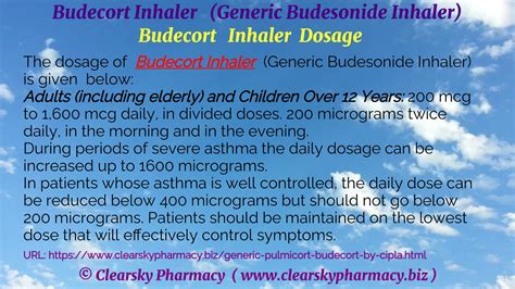 Budecort Inhaler Generic Budesonide Inhaler Ppt