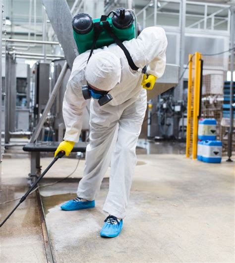Professional Commercial Pest Control And Cleaning Services Al Jazeerah