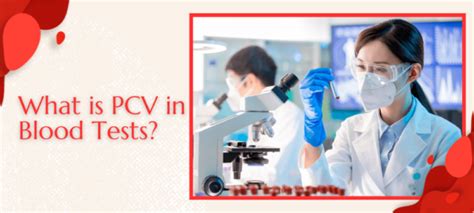 What Is PCV Packed Cell Volume In Blood Tests Grace Lab