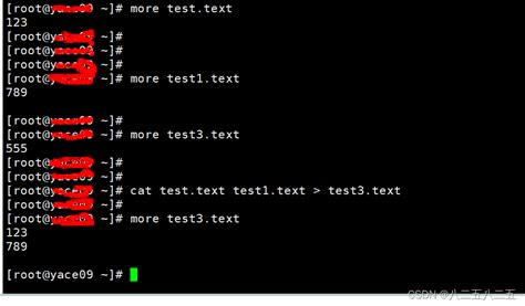Linux Linux Csdn