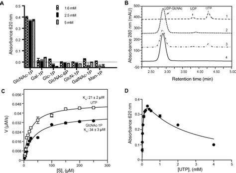 Afuap1 Enzyme Activity Assay A Substrate Specificity Against A Range Download Scientific