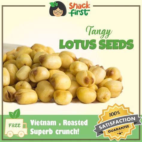 Snackfirst Vietnam Roasted Lotus Seeds 200g 1kg Healthy Snacks Crunchy