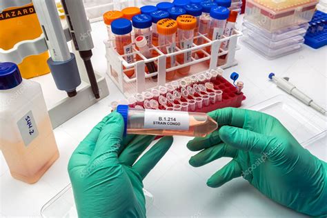 Análisis De Laboratorio De Una Nueva Mutación De Sars Cov 2 En Bélgica