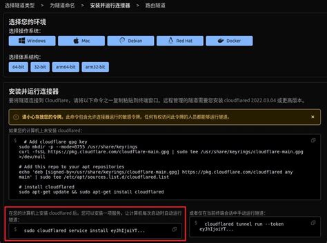 手把手教你怎么用 Cloudflare Tunnel 穿透 Ssh Tcp 服务 开发调优 Linux Do