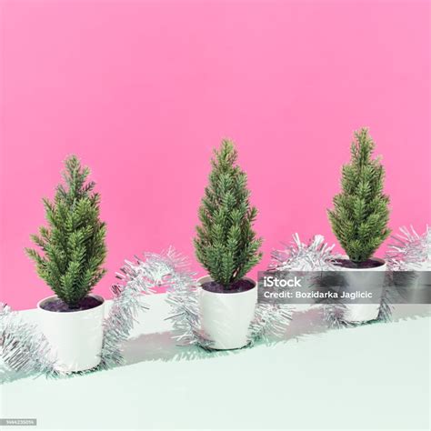 밝은 민트 그린과 대담한 분홍색 배경에 은색 반짝이는 화환 장식이 있는 흰색 식물 화분에 크리스마스 트리 새해 축하 개념입니다 창조적 인 겨울 휴가 미학 개념에 대한 스톡