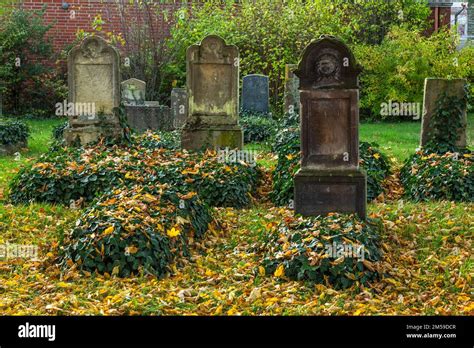 Deutschland Gescher Berkel Naturpark Hohe Mark Westmuensterland