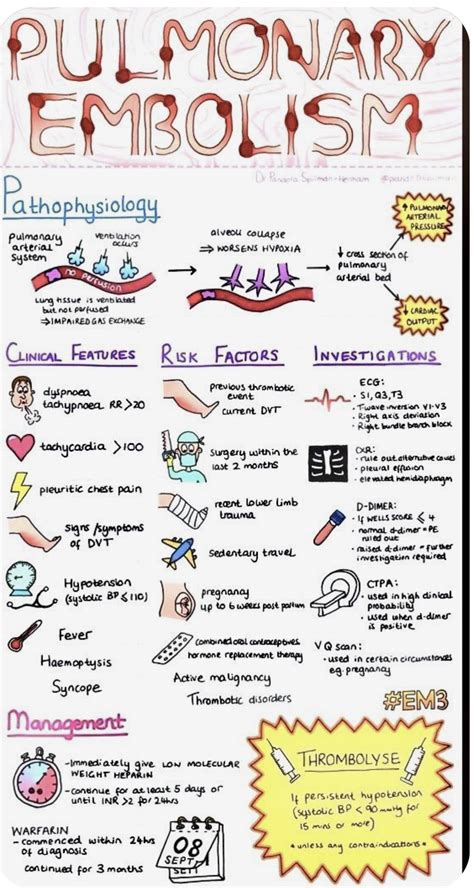 Free Nursing School Printables Artofit